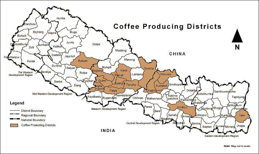 Tea to Coffee - China's growing coffee production - Kirehalli