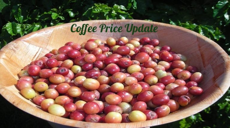 Latest Coffee Market Rates – 24-06-2026